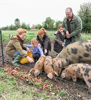 Meat Processing | TX Pride Processing